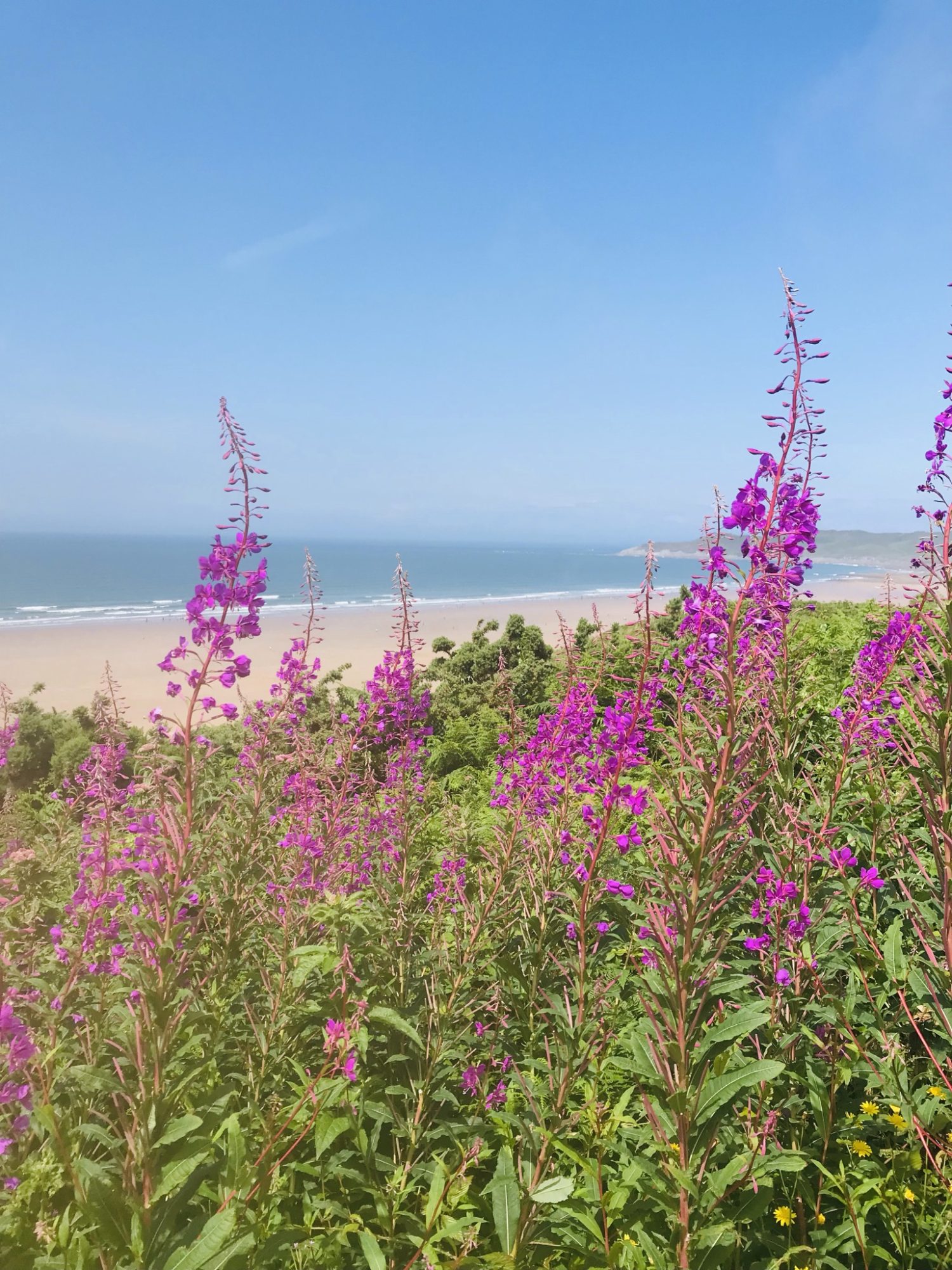 April Beach Holidays | UK Luxury Breaks in North Devon